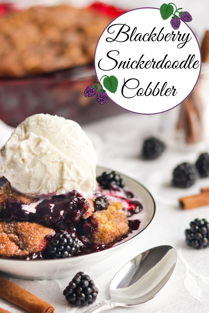 Blackberry Snickerdoodle Cobbler - A baJillian Recipes