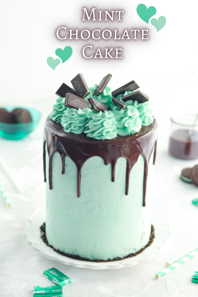 Mint Chocolate Cake - A baJillian Recipes