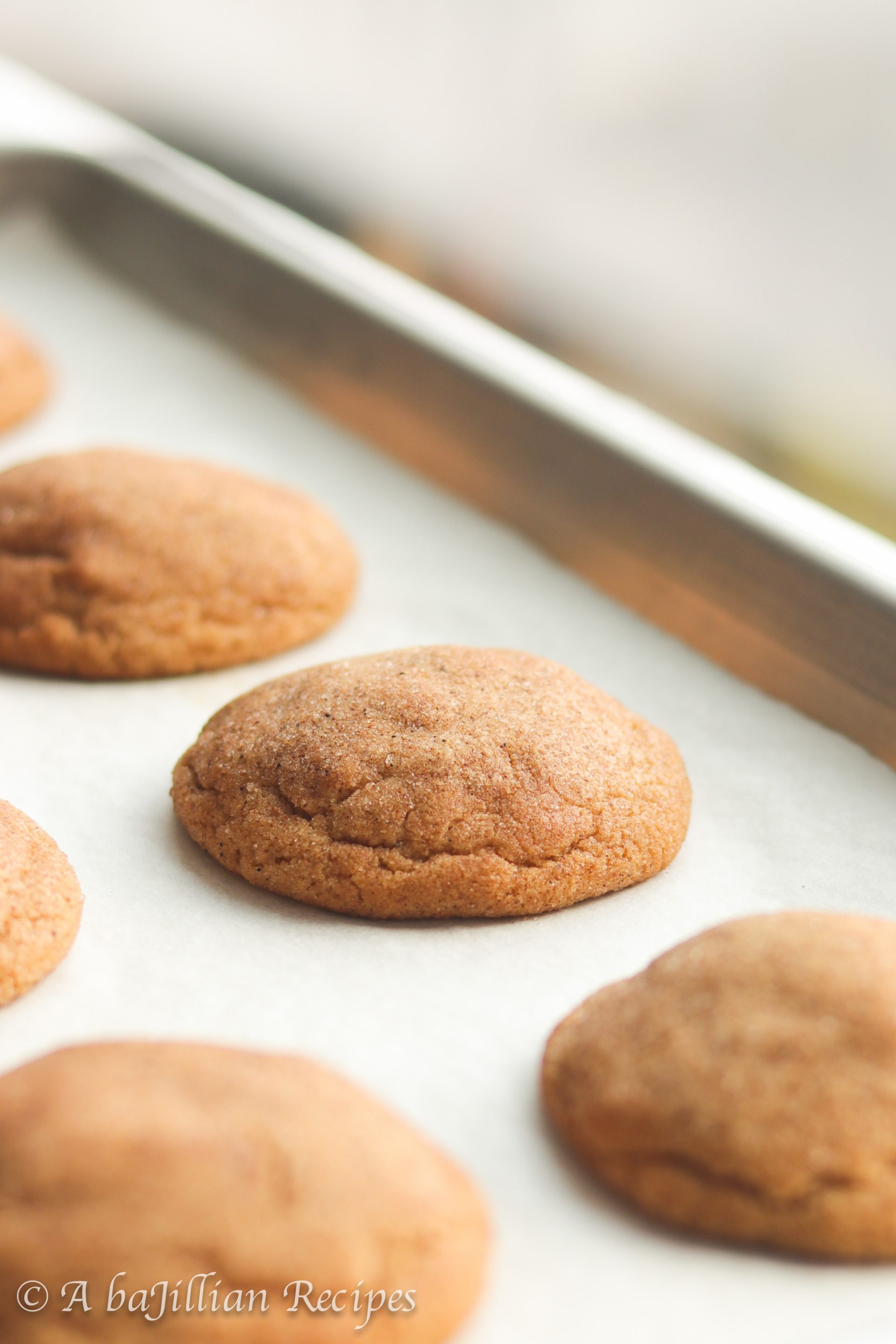 Cookie Butter Snickerdoodles - A baJillian Recipes